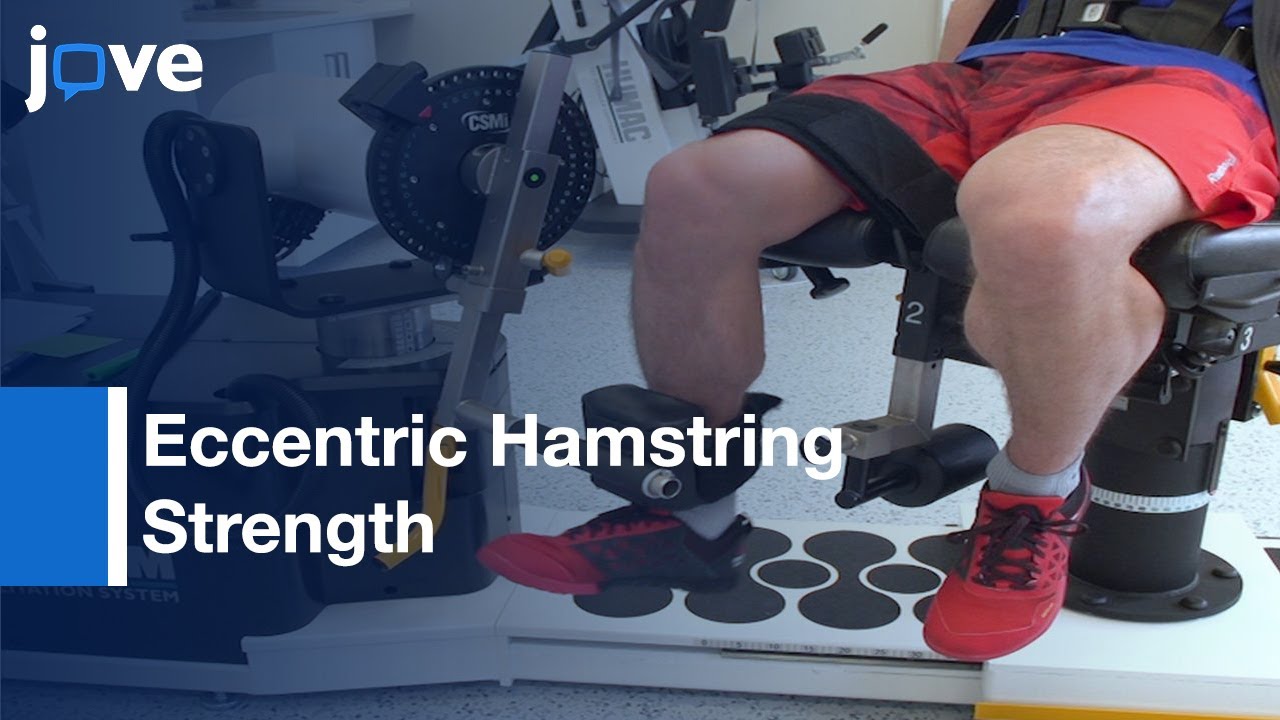 Eccentric Hamstring Strength testing and training: Muscle Imbalances ...