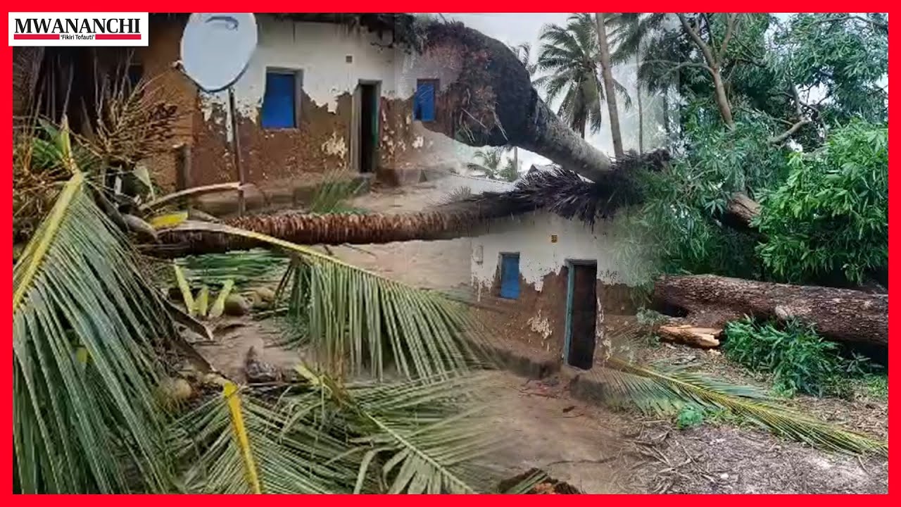 Hatari! Kimbunga HIDAYA kilivyoipiga Mafia, Miti mkubwa, mikorosho ...
