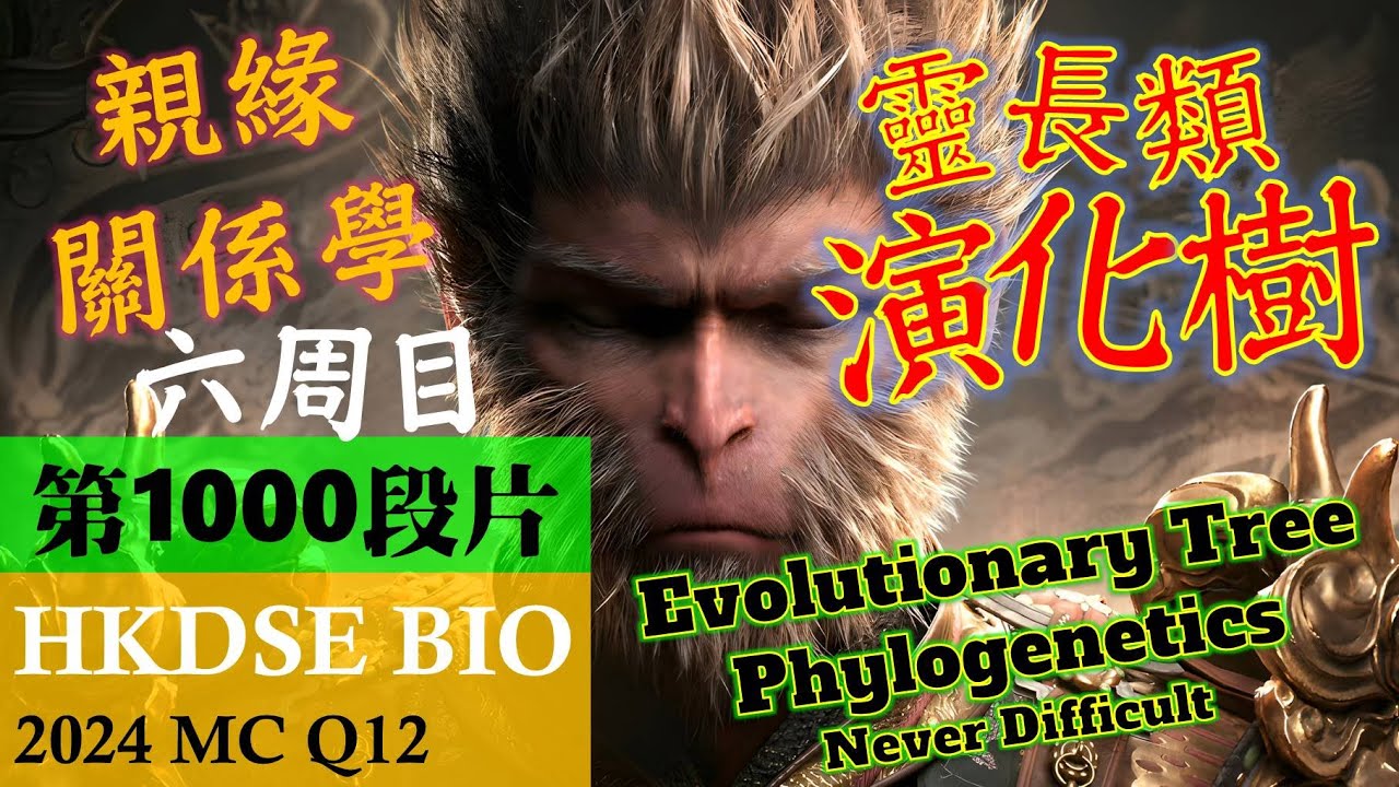 #1000│DSE Bio│HKDSE 2024 MC Q12│evolutionary tree演化樹│phylogenetics親緣關係 ...