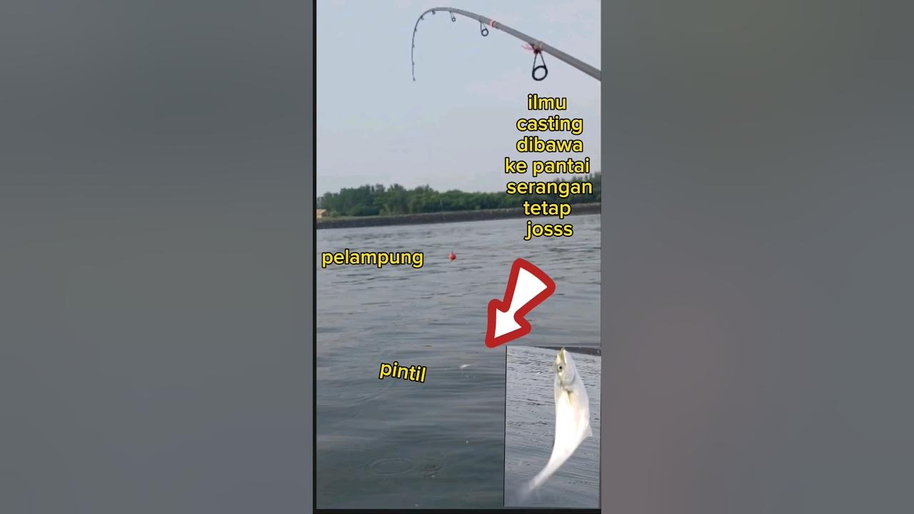 MANCING CASTING DI PANTAI SERANGAN STRIKE IKAN TALANG ...#shorts - YouTube