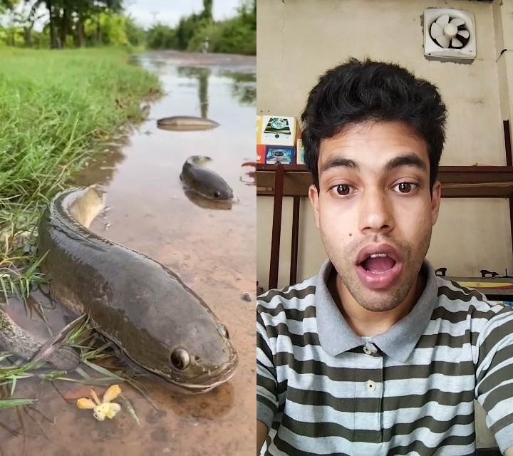Viral fishing scene #viral #ytshorts #fishing #video - YouTube