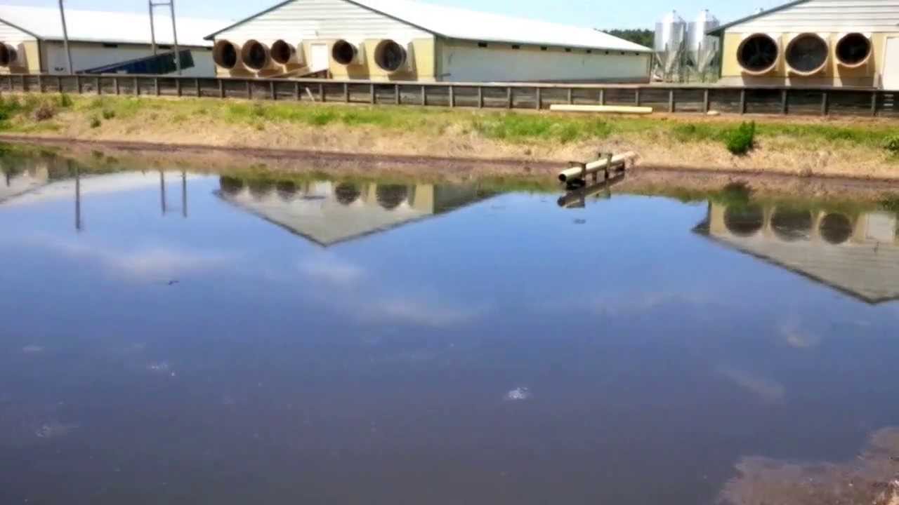 Sludge Boat Bio Program Testimonial - YouTube