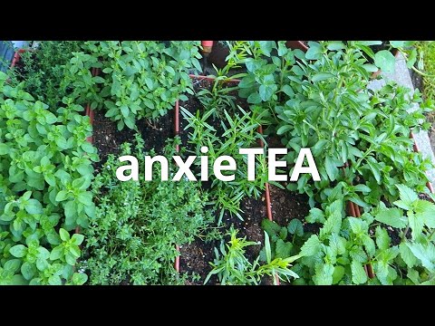 homemade herbal tea for anxiety relief - YouTube