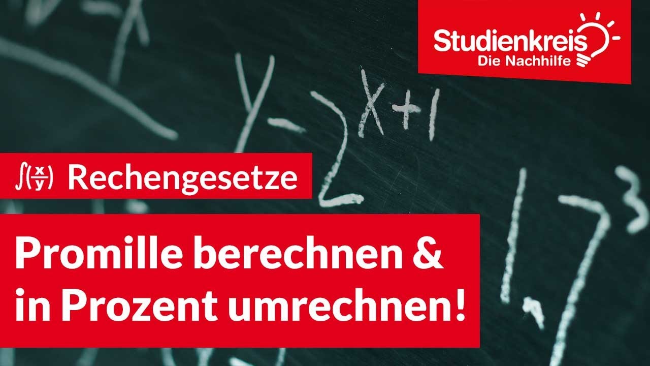 Promille Berechnen Und In Prozent Umrechnen Mathe Verstehen Mit Dem