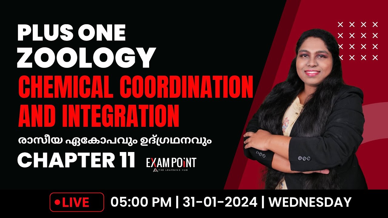 CLASS 11 ZOOLOGY | CHAPTER 11| CHEMICAL COORDINATION AND INTERGRATION ...