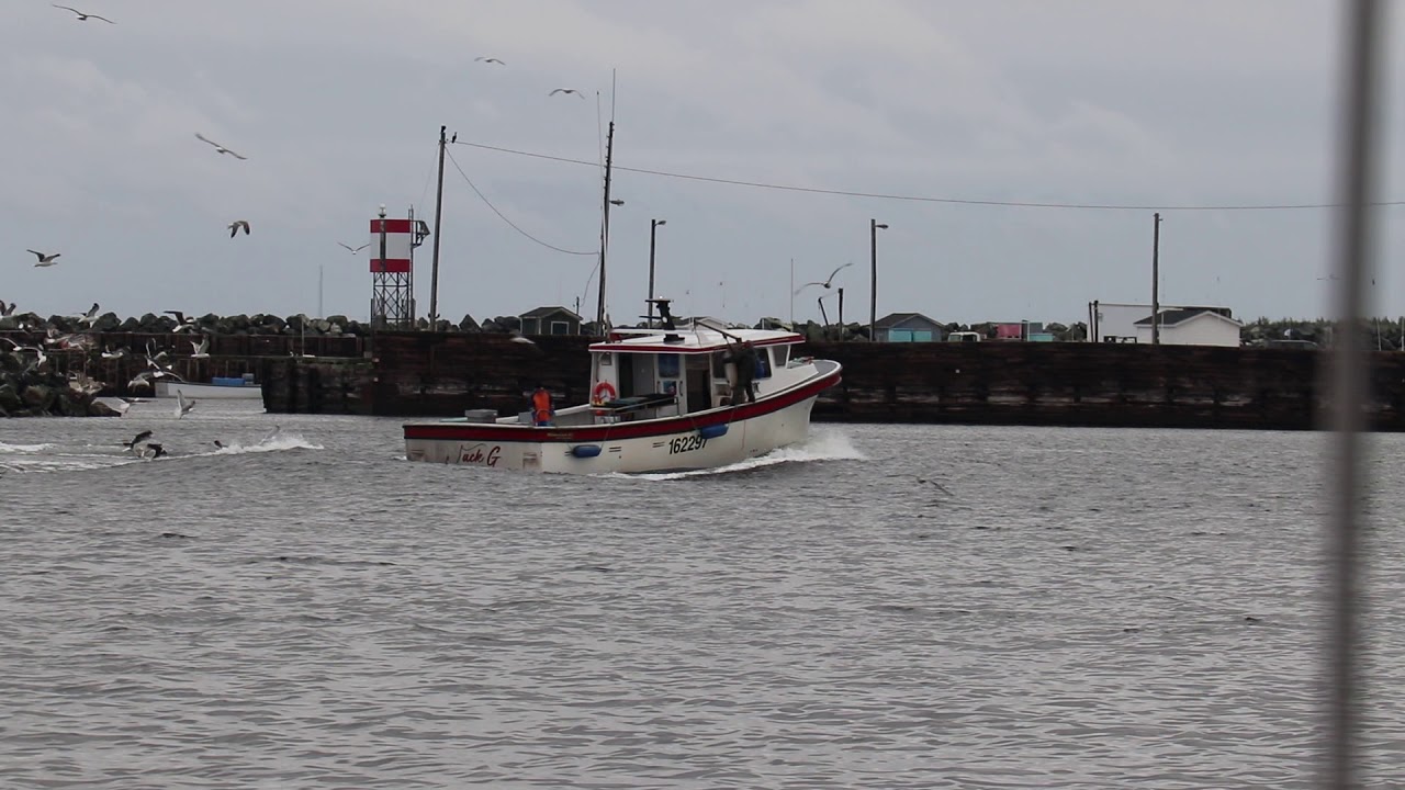 DECR 2019 Escuminac Harbour 2019 06 27 0300 - YouTube