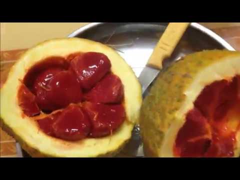Dishes easy to cook : Gac fruit effect - Steamed Gac Sticky Rice - YouTube
