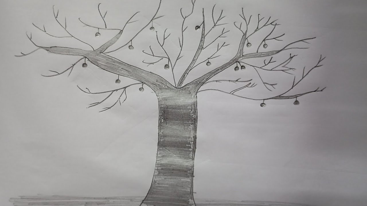 Fruit tree Drawing easy || simple tree pencil drawing || 🌳🌲🌴 - YouTube