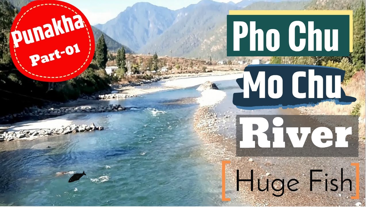 Beautiful Fochu & Mochu River II পুনাখার ফচু এবং মচু নদীত কত মাছ দেখুন ...