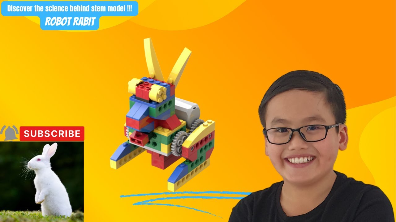 ROBOT RABBIT - Discover the science behind stem model !!! - YouTube