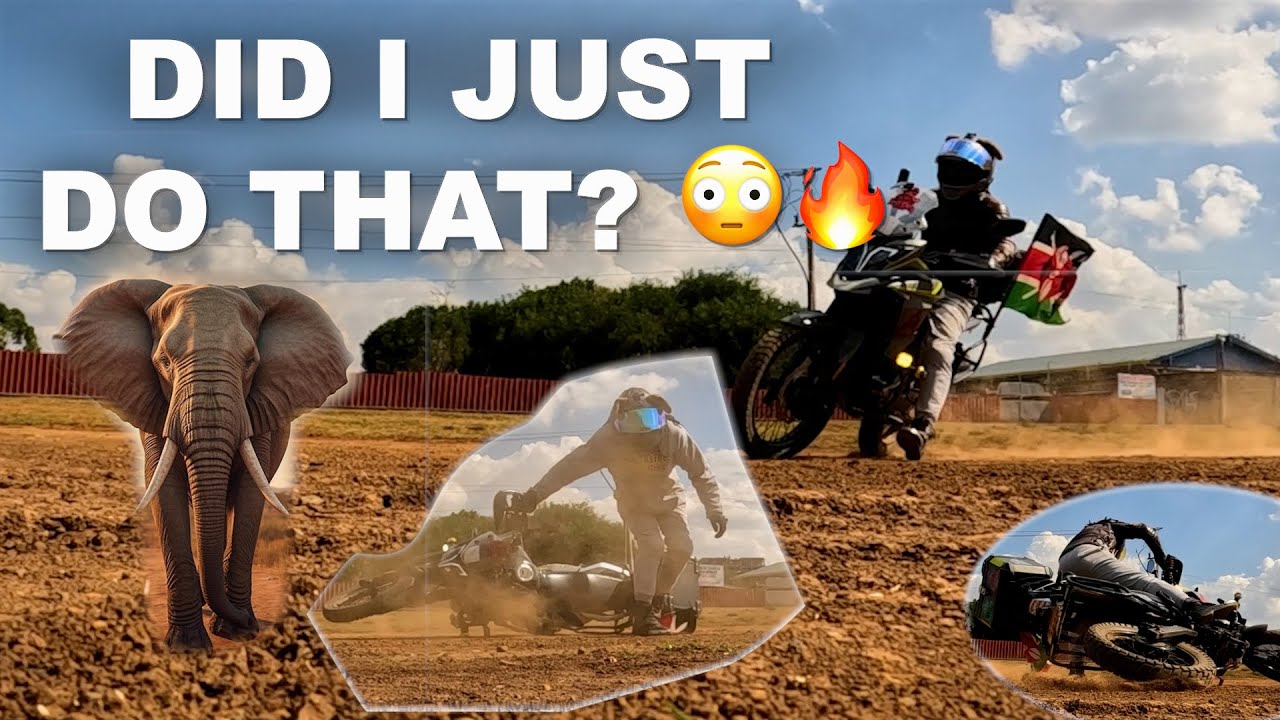 Learning an Elephant Turn for the First Time 😱 (Success?!) - YouTube