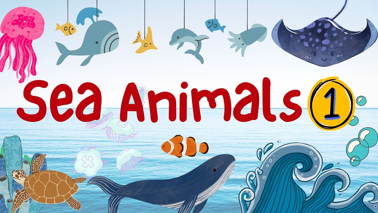 Sea Animals for Kids | Learning Aquatic Animals | Ocean Animals For ...