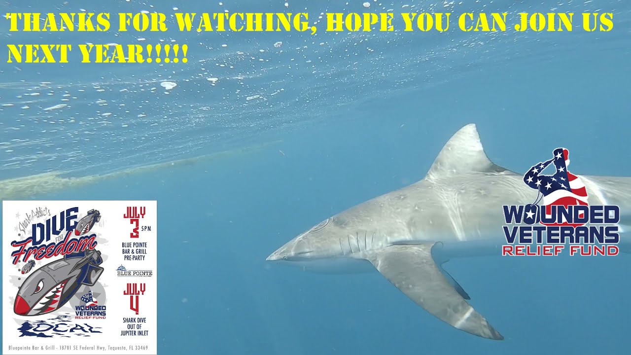 Wounded Veterans Relief Fund - 2021 Dive for Freedom - YouTube