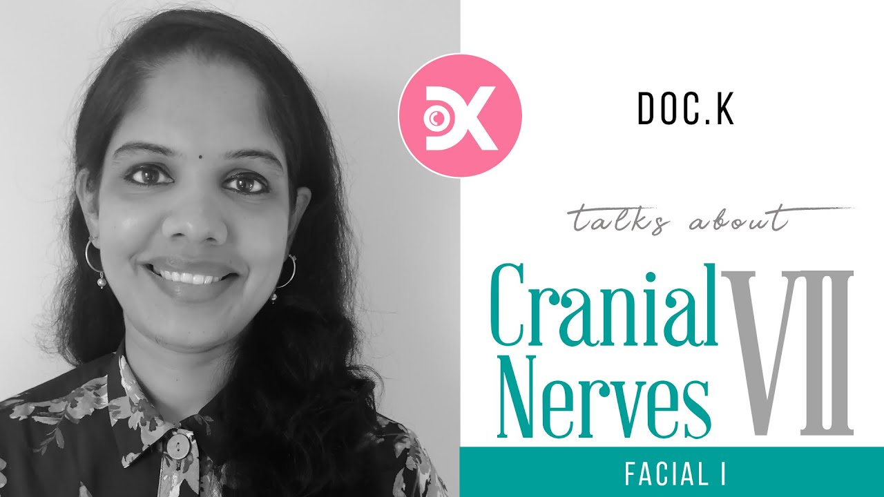 Facial Nerve- Draw and learn- Functional components, branches - YouTube