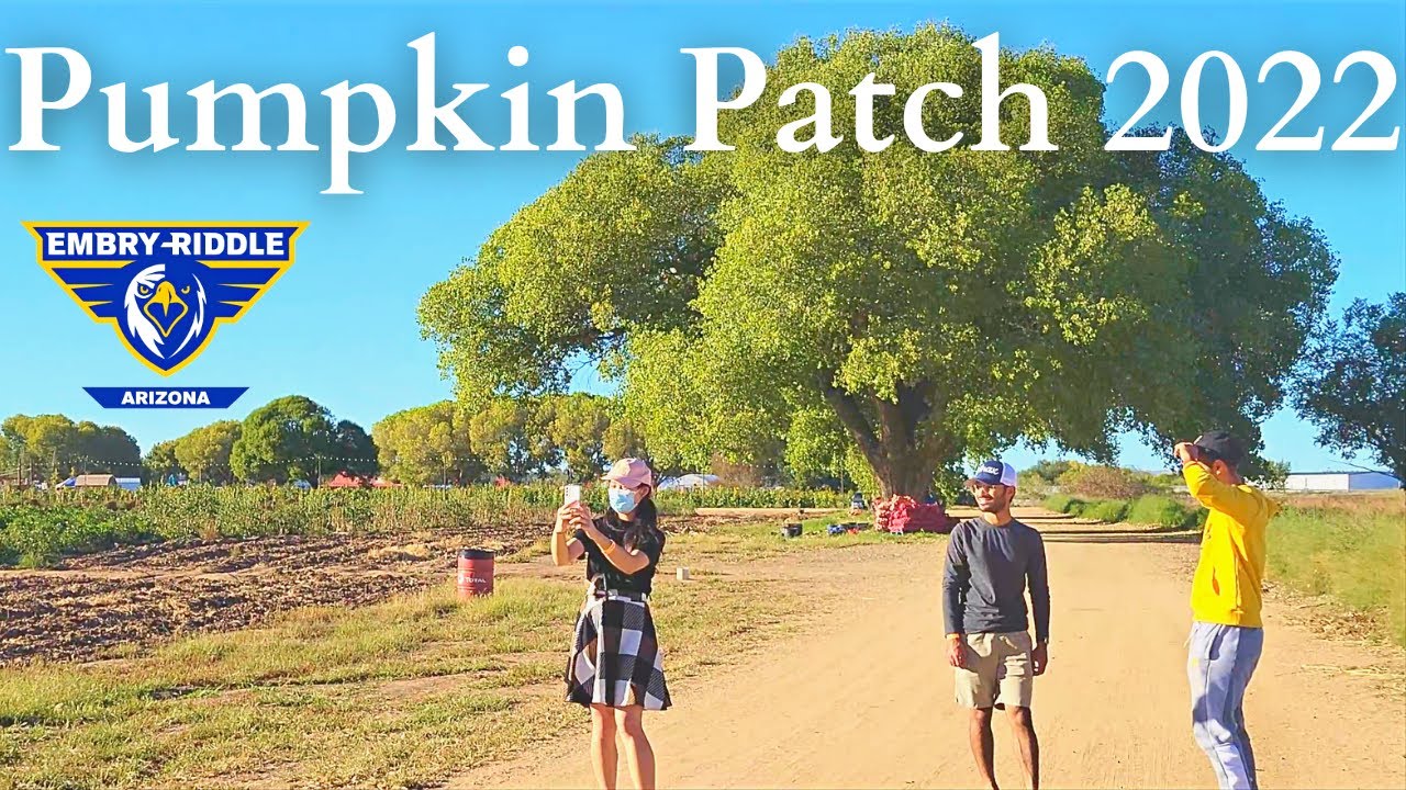 2022 Pumpkin Patch at Mortimer's Farm #erauprescott - YouTube
