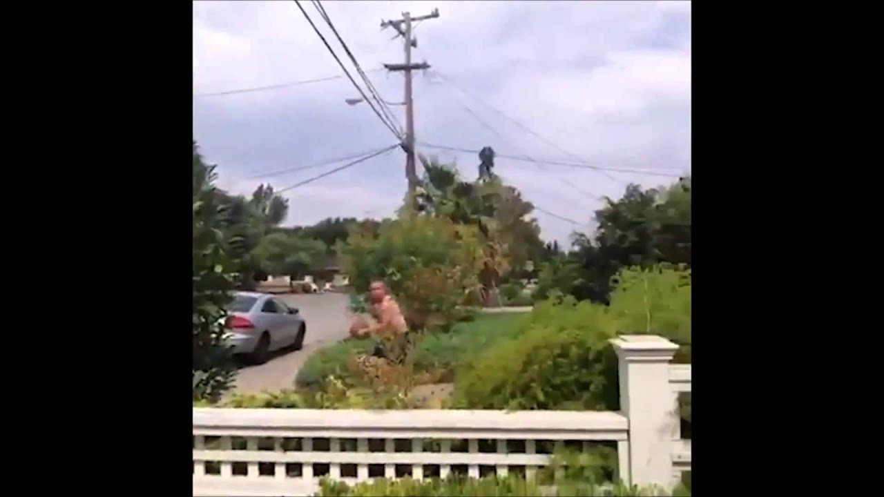 25 of the Most popular Vines in 2 minutes Clean Cencored Compilation ...