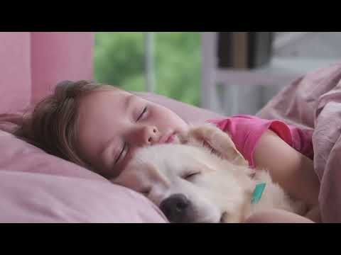 Sleeping Beauties 💤 | Animals That Will Melt Your Heart