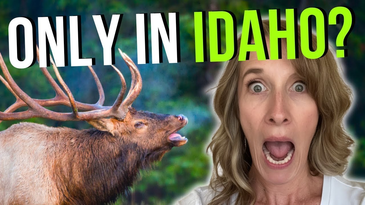 10 Things You Should Know BEFORE Moving To Idaho What Living In Idaho 10-things-you-should-know-before-moving-to-idaho-what-living-in-idaho