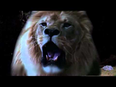 Bright Night Eyes | Shotties 2012