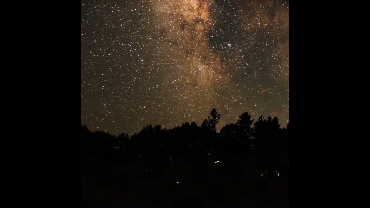 Time lapse of fireflies - YouTube