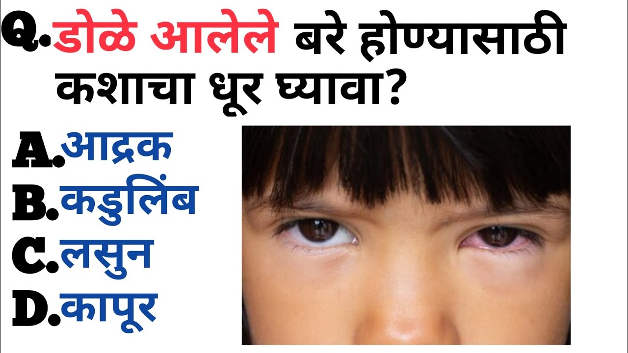 gk marathi questions and answer | gk marathi quiz |marathi gk questions ...