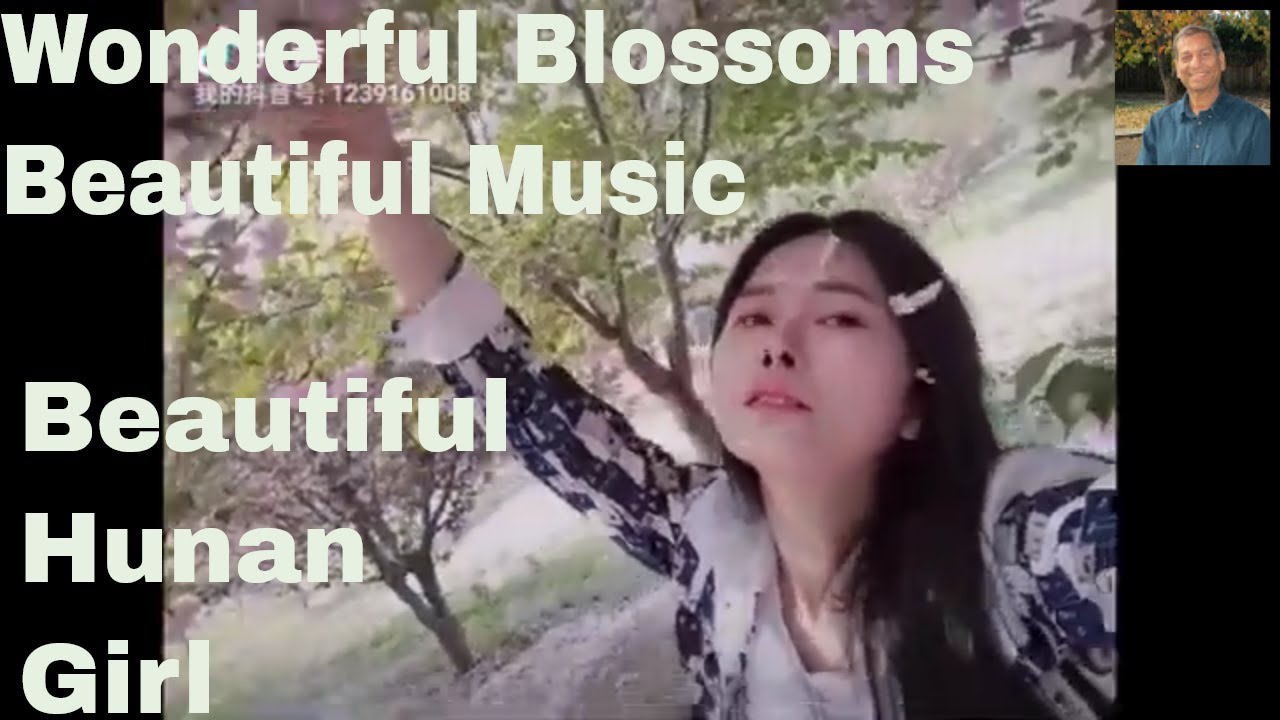 Beautiful Girl Enjoying Beautiful Chinese Blossoms,hunan girl ...