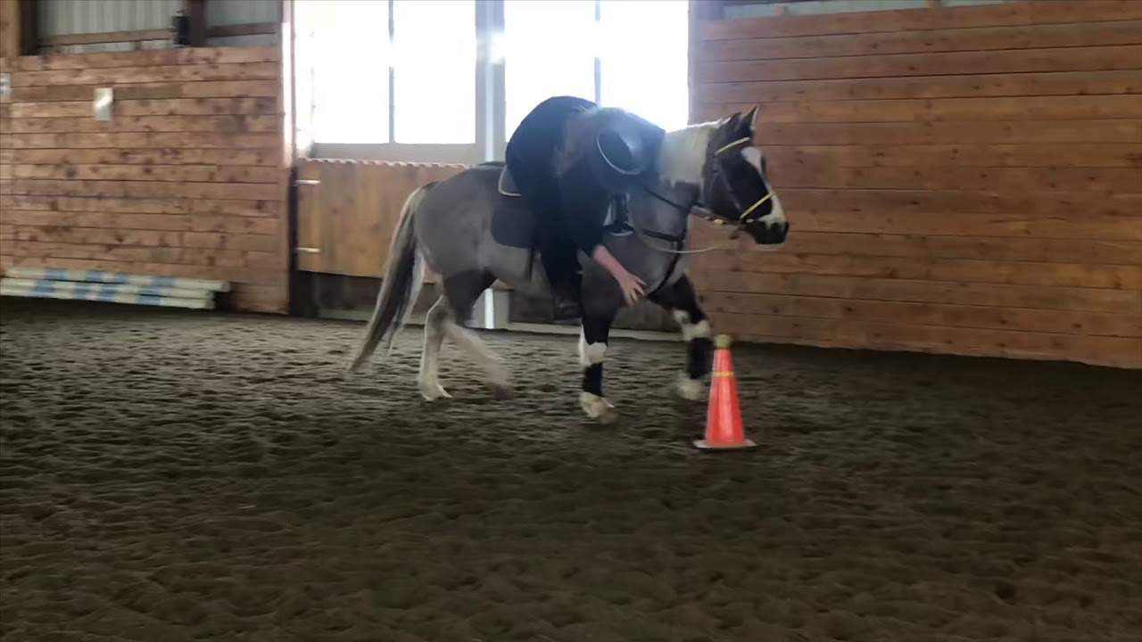 Games practice - 1/27/19 - Almeda Farm, Va - YouTube