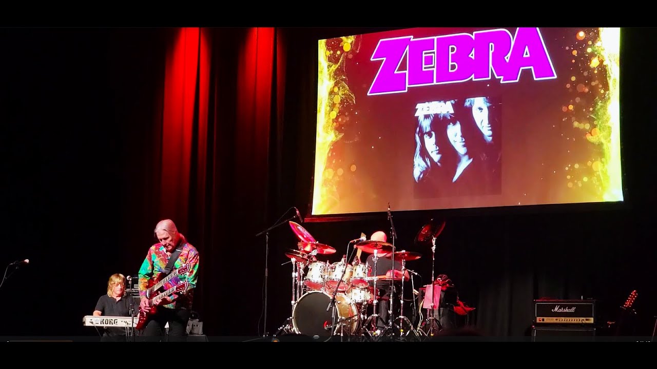 ZEBRA - THE HITS - YouTube