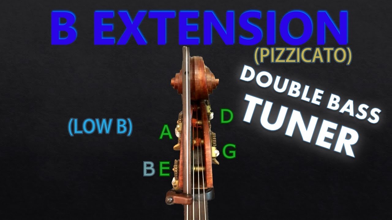 Double Bass - B-EXTENSION Tuning (PIZZICATO) (Tuner) - YouTube