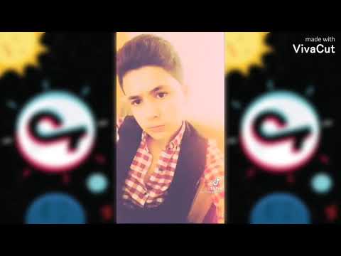 mehmet javed tiktok videosu