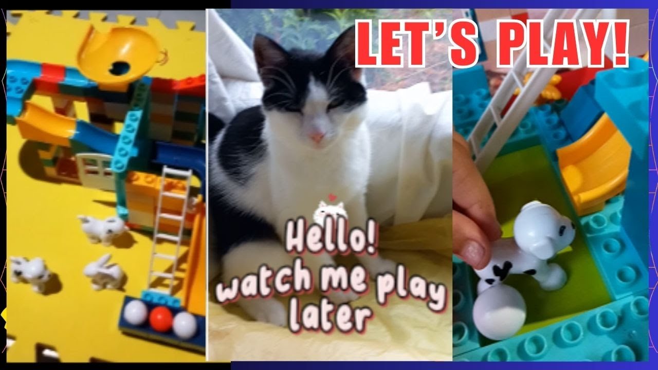 🌈Vibrant Vibes PLAY!: Marble run, beads and a CUTIE surprise!🎉 - YouTube