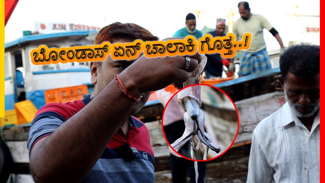 ಬೋಂಡಾಸ್ ಏನ್ ಚಾಲಾಕಿ ಗೊತ್ತ..! | Mangalore Dhakke Fish Market - YouTube