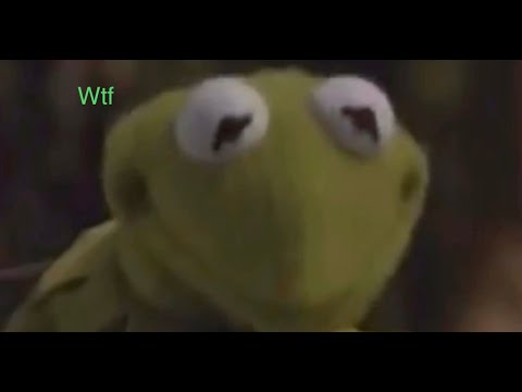 Kermit reacts to Kermit sewer slide - YouTube