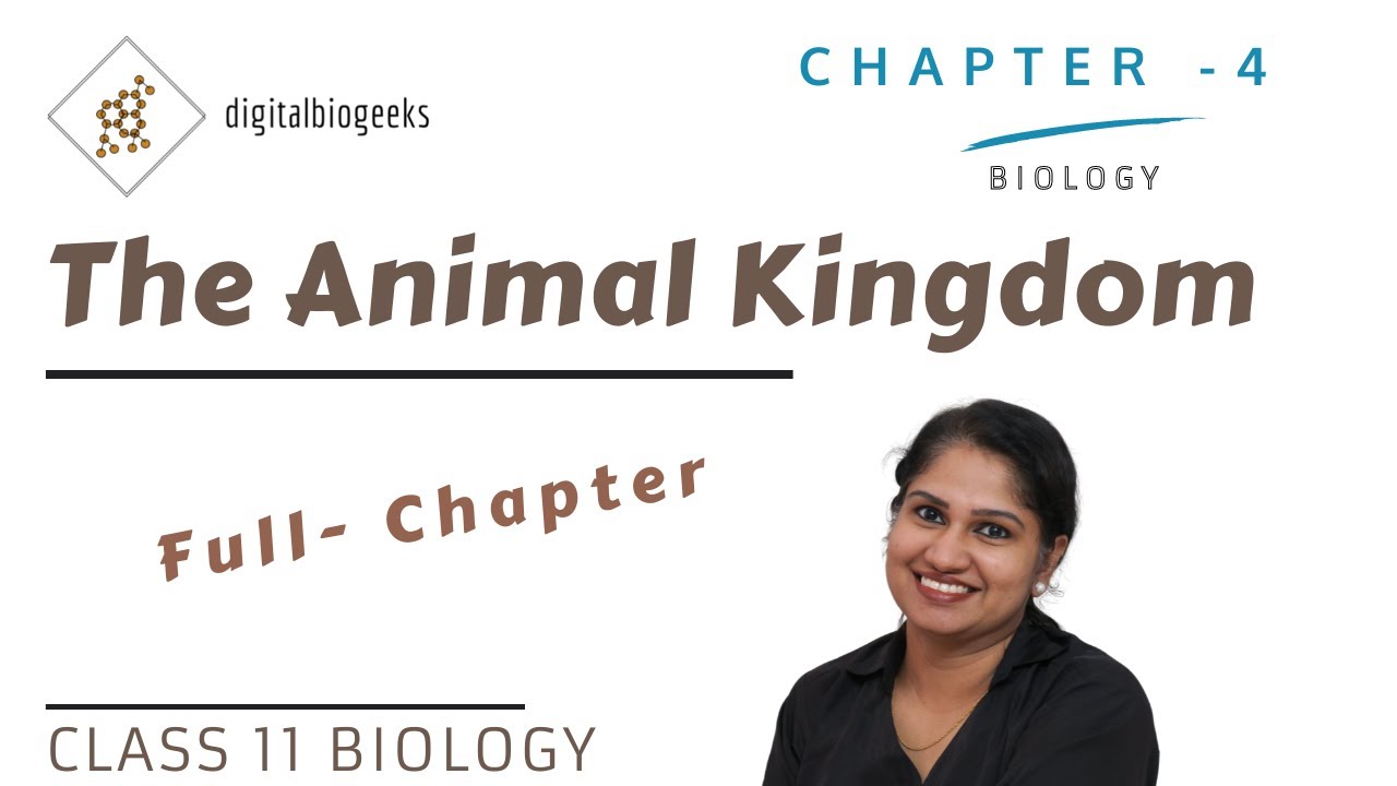 Class 11 Biology Chapter 4 Animal Kingdom - YouTube