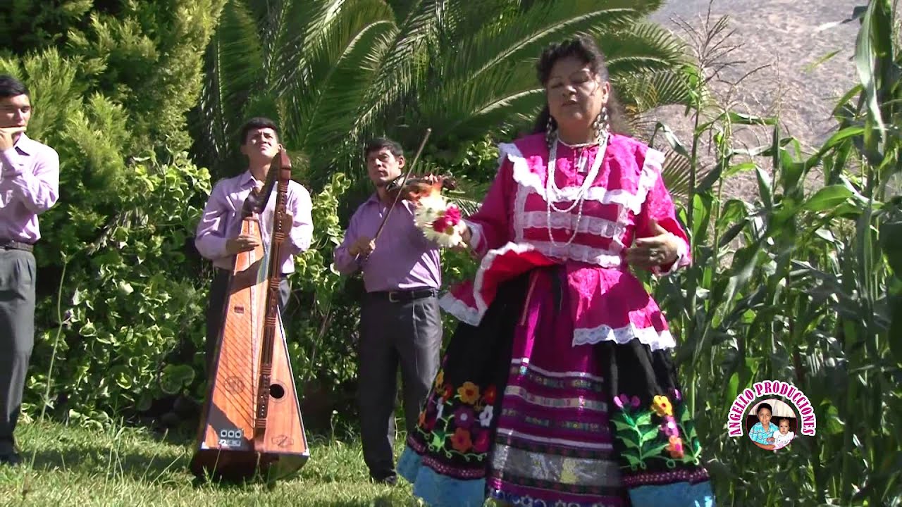VIOLETA VEGA SIFUENTES La Gatita del Folklore (Escorzonera) 2015 - YouTube