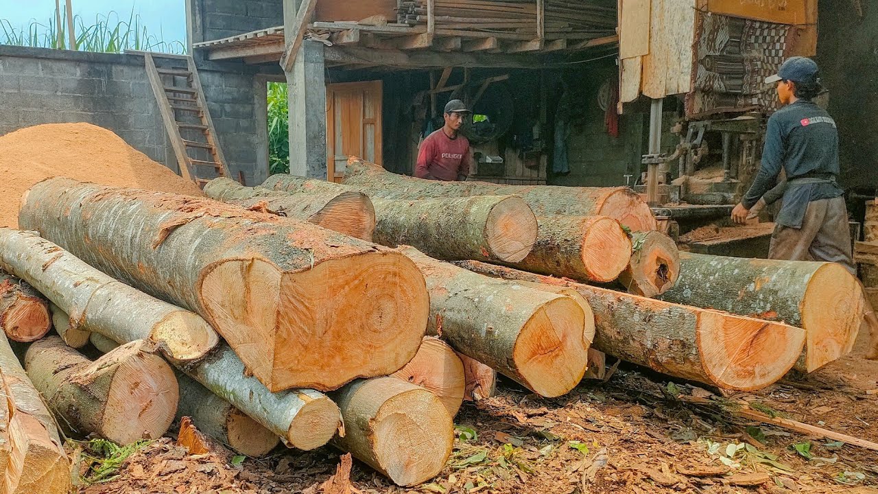 Sujud Syukur!!! Kayu seperti ini paling laris di pasaran mebel untuk ...