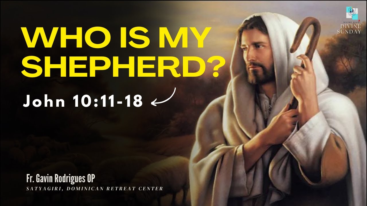 Who is my shepherd? | Fr. Gavin Rodrigues OP | John 10:11-18 | 4th ...