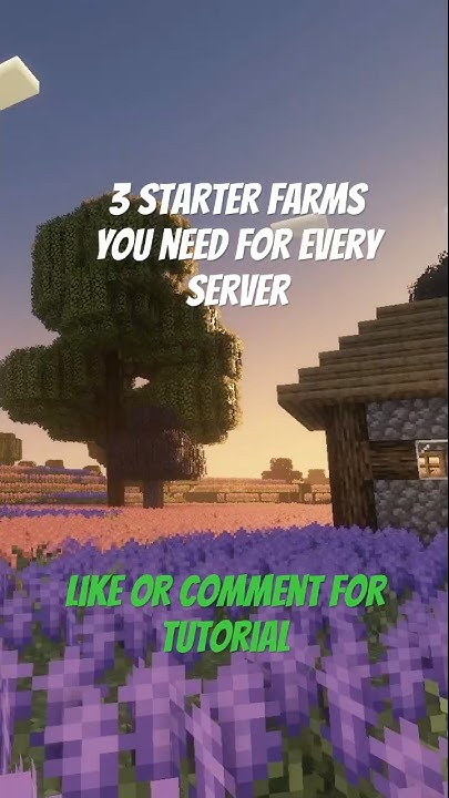 3 starter farms you need for every MC server #minecraft - YouTube