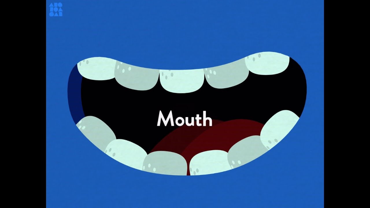 Learn the letters with Metamorphabet | Part 1 A-M - YouTube