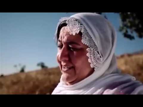 Türkçe Kürtçe Arapça  le le sabiha