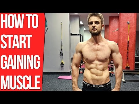 Why Am I Not Gaining Muscle? (Mini Guide Backed by Science)