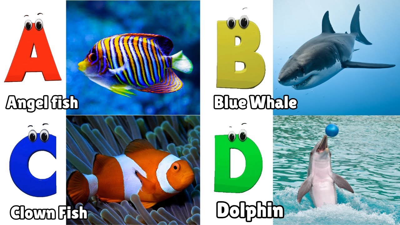 ABC Song for Kids | Learn Names of The Sea Animals for Kids | Phonics ...
