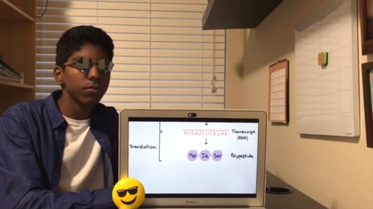 Explaining Biology the cool way | Protein Synthesis Rap - YouTube