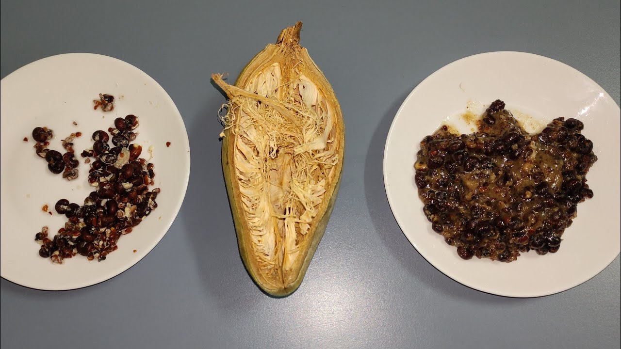 How to Cook and Eat Foraged Baobab Seeds (Adansonia digitata) - YouTube