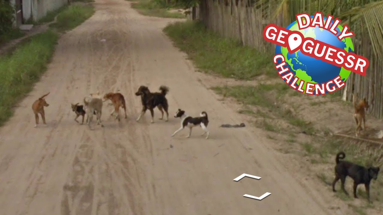 Why are there so many dogs... - Geoguessr Daily [03/26/23] - YouTube