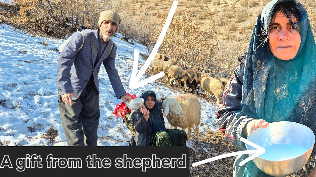 The Nomadic Shepherd Who Changed His Homeless Grandmother's Life - YouTube