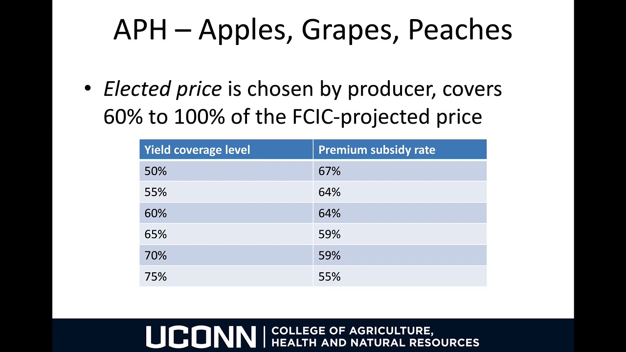 Risk Management and Crop Insurance Basics - YouTube