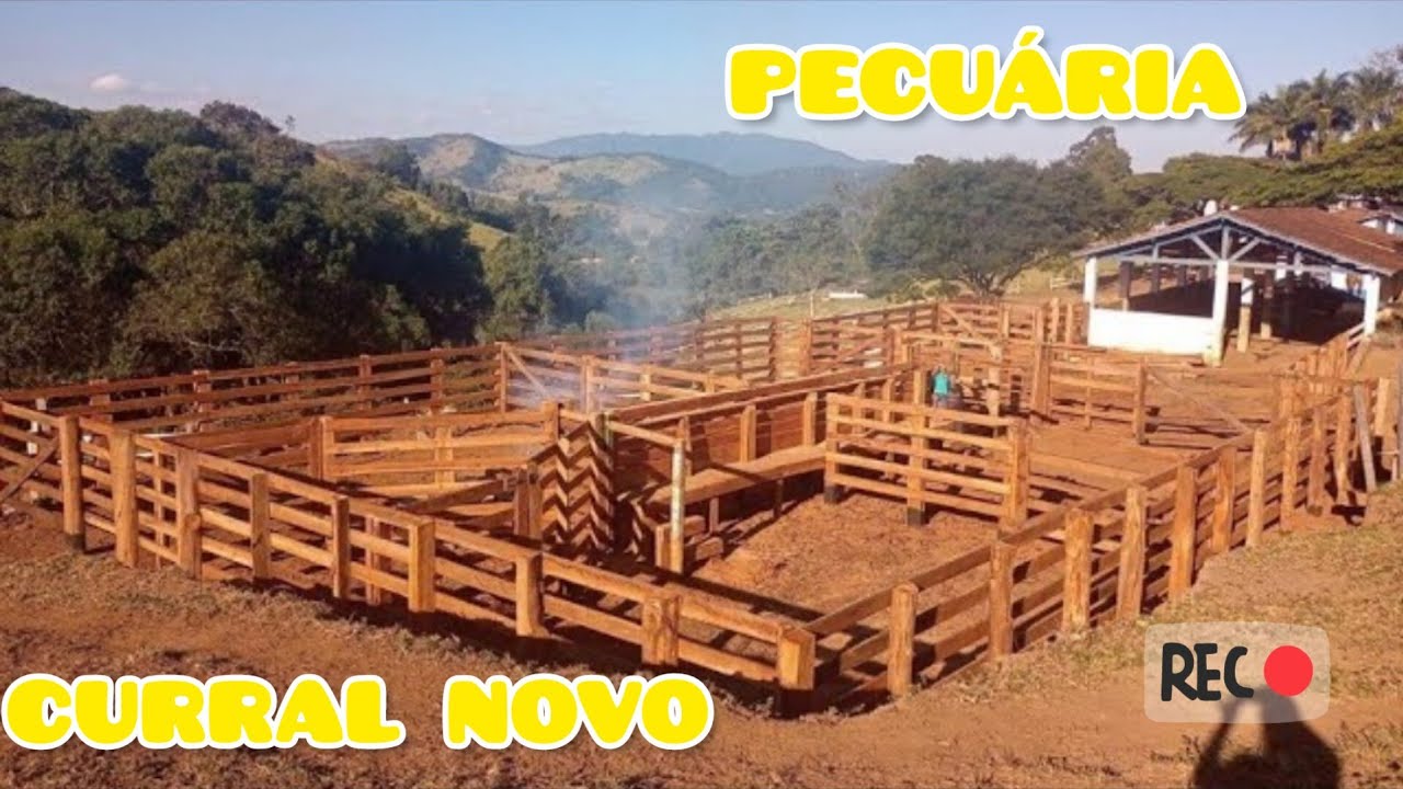 CONSTRUÇÃO DE CURRAL, MANGUEIRO BRUTO DE MADEIRA, TODO PROCESSO DE ...