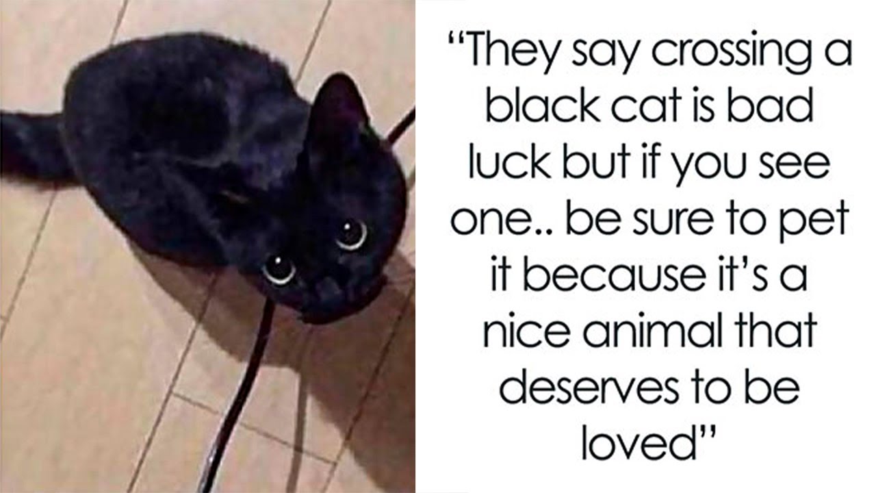 Iconic Tumblr Posts That Deserve Eternal Internet Fame - YouTube