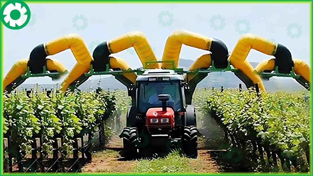 village life / Witness the Unbelievable: The Gigantic Power of the ...